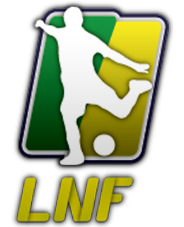 Liga Nacional de Futsal confirma 19 equipes na competição | Atual FM